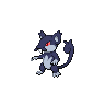 Rattata (Alolan) - Pokémon Vortex Wiki