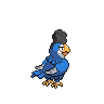Squawkabilly (Blue) - Pokémon Vortex Wiki