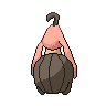 Gourgeist (Large) - Pokémon Vortex Wiki